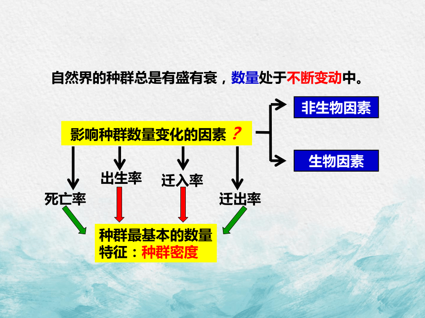 13 影响种群数量变化的因素 2022 2023学年高二上学期生物人教版选择性必修2 课件 共27张ppt21世纪教育网 二一教育