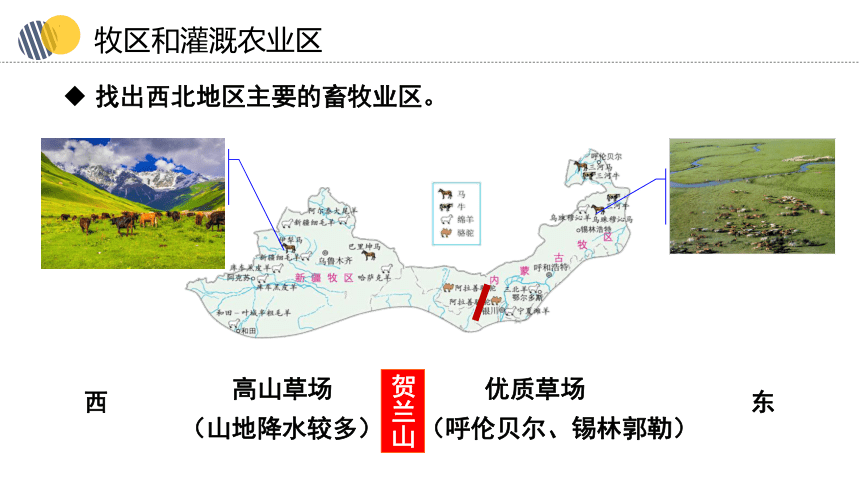 8 1 西北地区的自然特征与农业 第2课时 课件 共29张PPT人教版八年级下学期 21世纪教育网