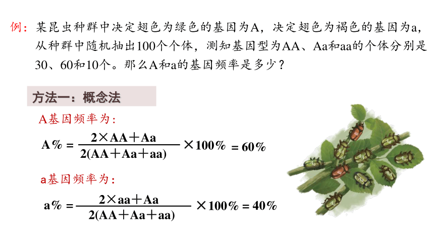63种群基因组成的变化与物种的形成(第一课时)课件(39张ppt)2022 2023学年高一生物(人教版2019必修2)(含视频)21