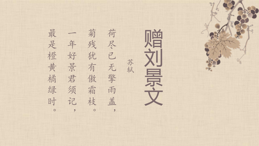 4古诗三首《赠刘景文》课件（共14张ppt）21世纪教育网 二一教育