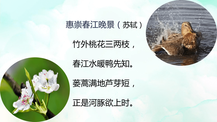 第二单元 第二课 春天的畅想 课件 共31张PPT 内嵌音频 人教版初中美术七年级下册 21世纪教育网