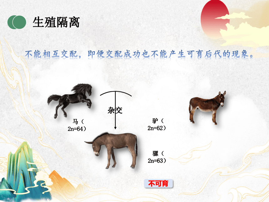 高中生物人教版（2019）必修二632隔离在物种形成中的作用 课件（23张）21世纪教育网 二一教育