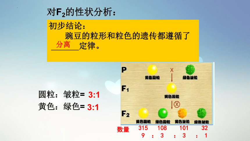 1 2孟德尔的豌豆杂交实验（二）课件 共51张ppt 2021 2022学年高一下学期生物人教版必修2 21世纪教育网
