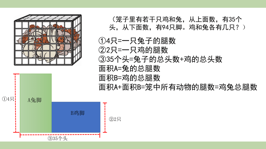 人教版四下数学广角——鸡兔同笼（面积法） 课件 21世纪教育网